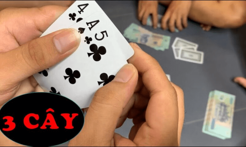 Những cách nặn bài 3 cây chuẩn xác nhất hiện nay